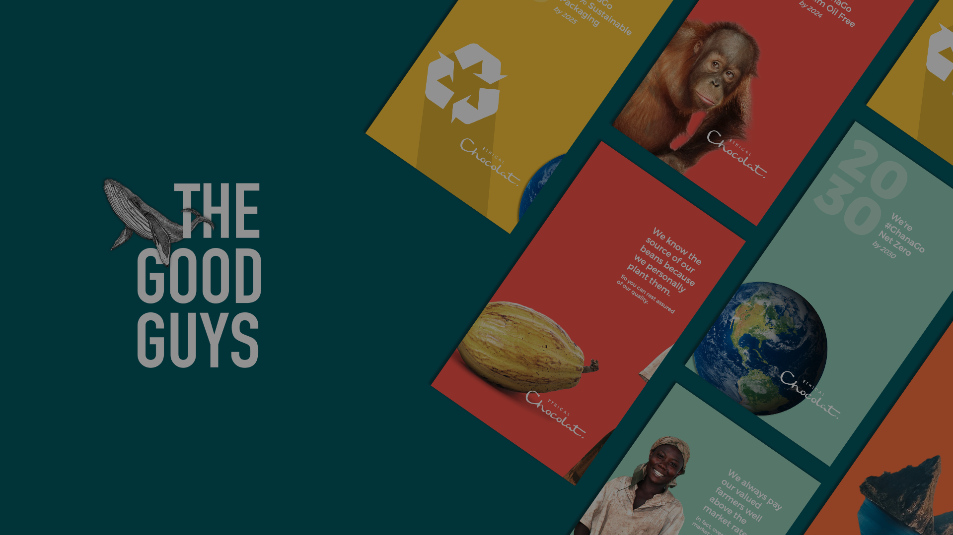 Our Impactful Journey: A Summary of Our Achievements at The Good Guys ...